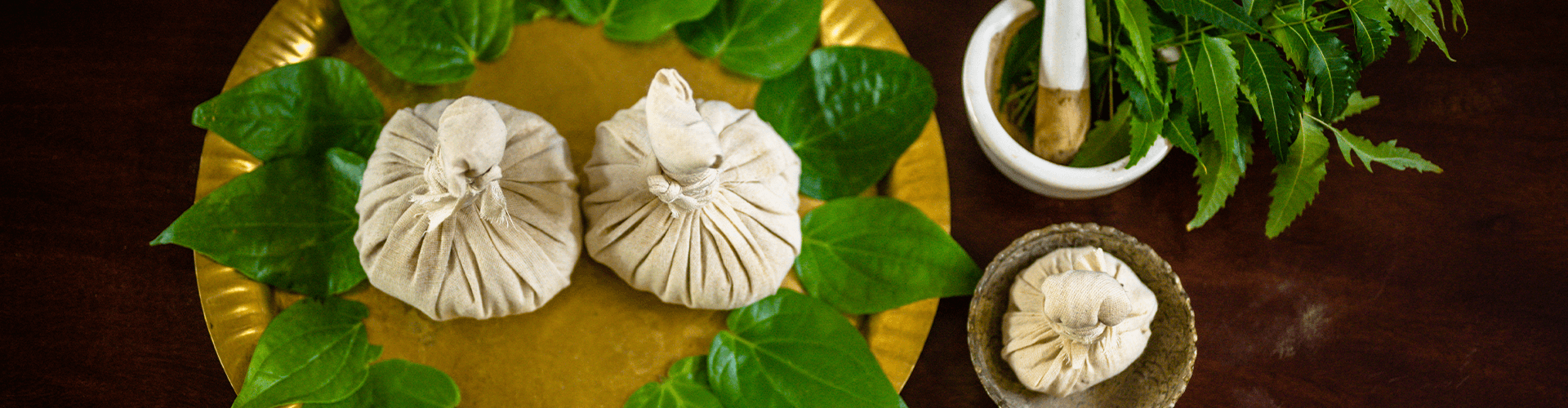 Ayurvedic Healing | Panchakarma | Sitaram Beach Retreat